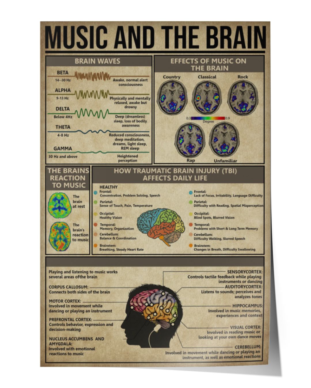 Music And The Brain Poster, Brain Waves Poster, Effects Of Music On The ...