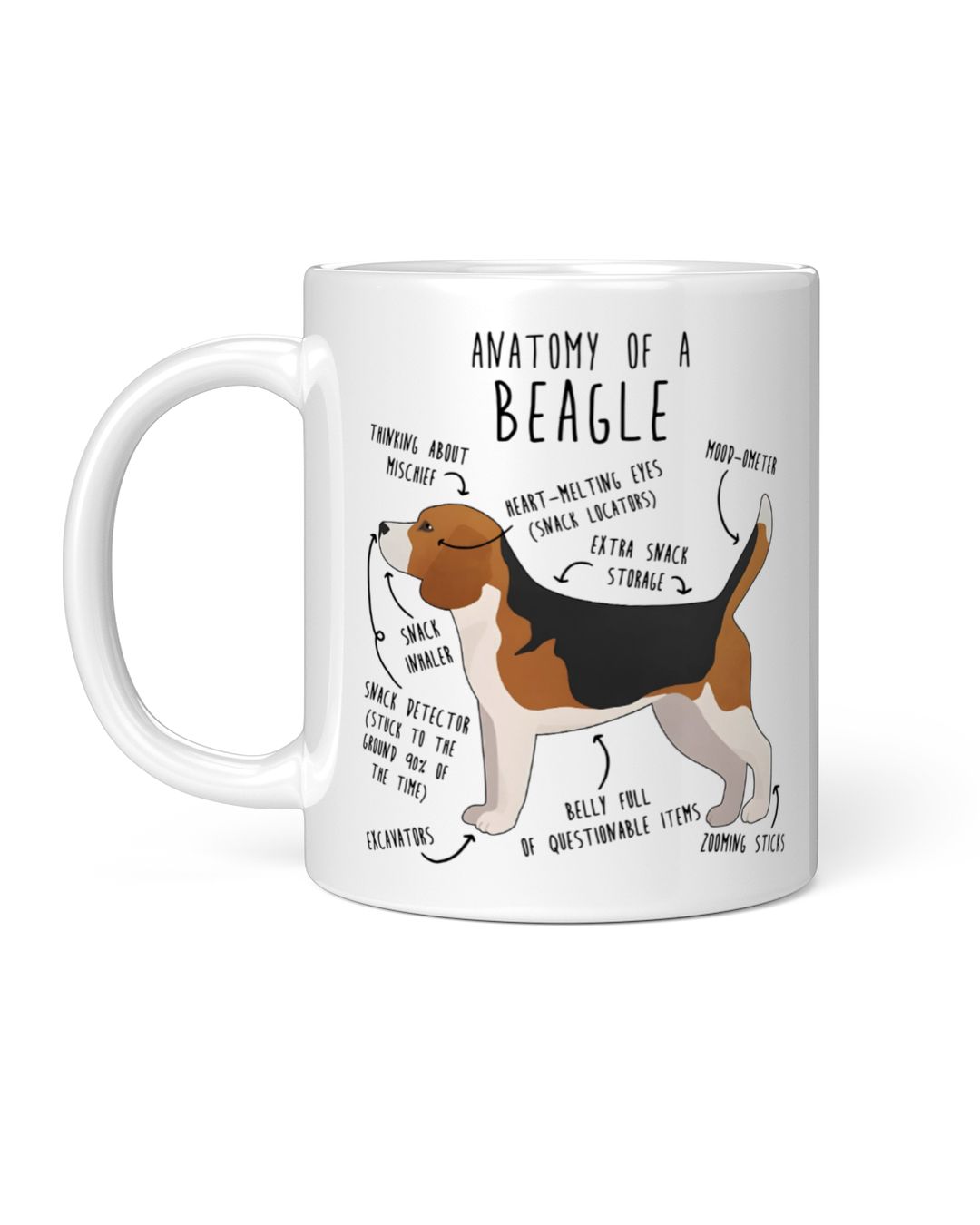 Anatomy Of A Beagle