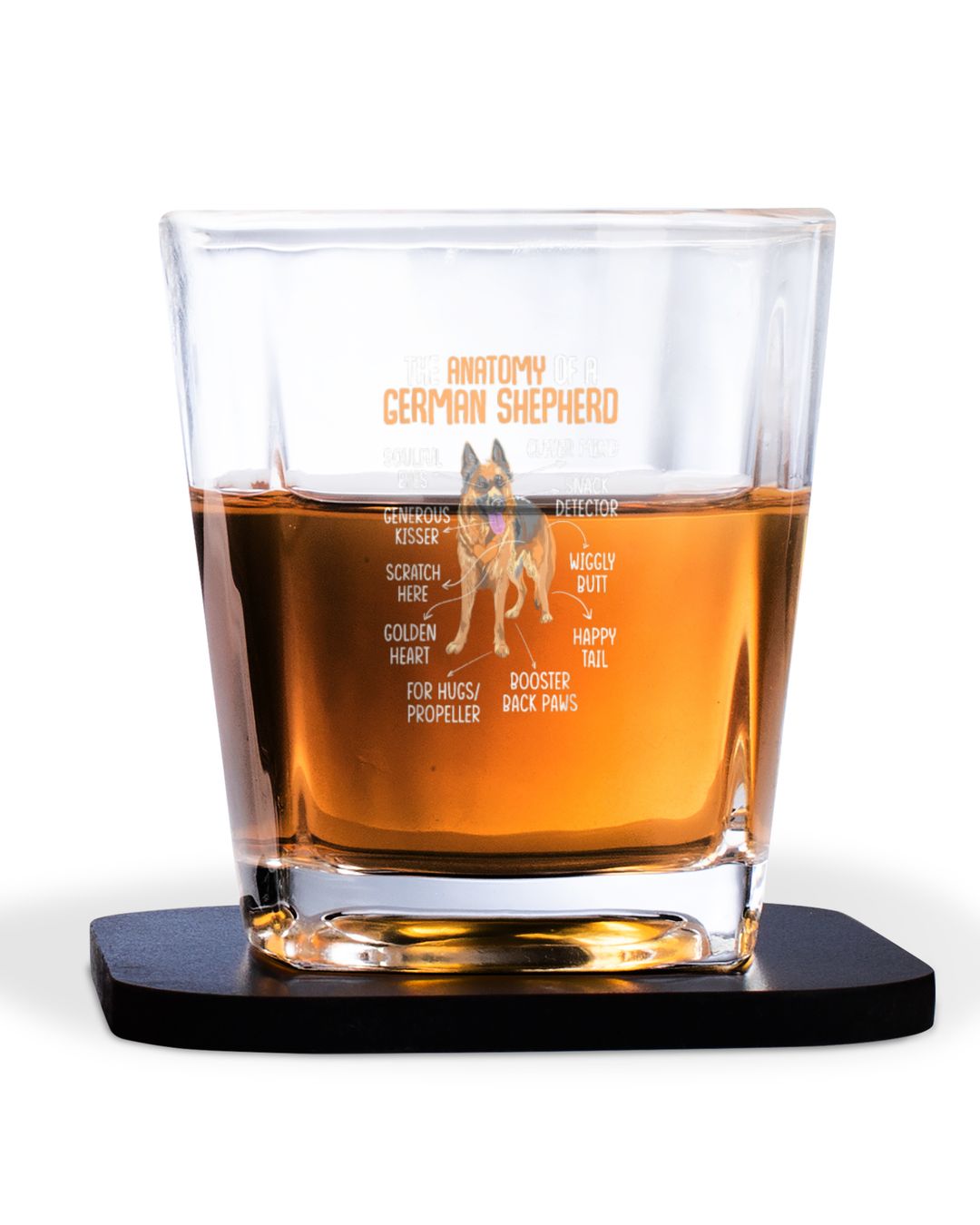 The Anatomy Of A German Shepherd | MONOLUCK