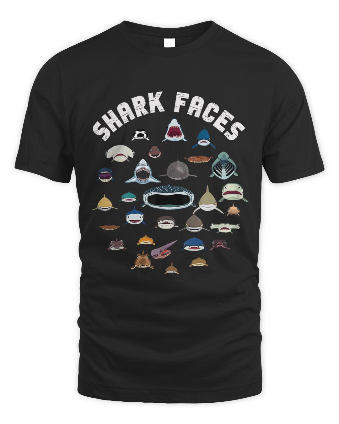 Shark Types Of Shark Faces. Shark Face Identification Great Sea Jaw ...
