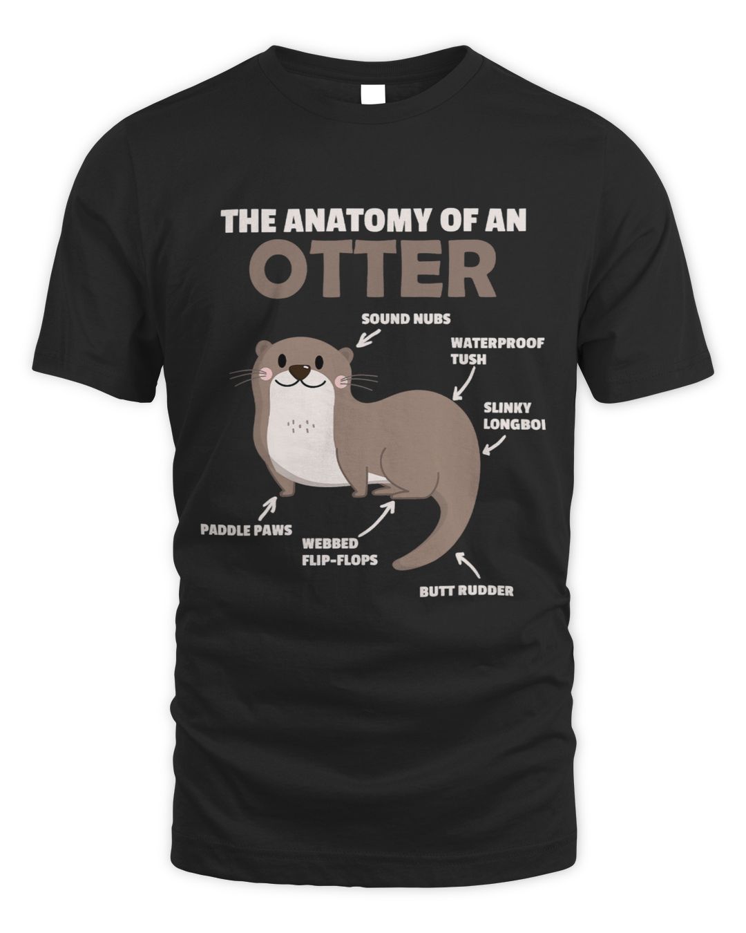 Cute Otter Explanation Anatomy Of An Otter