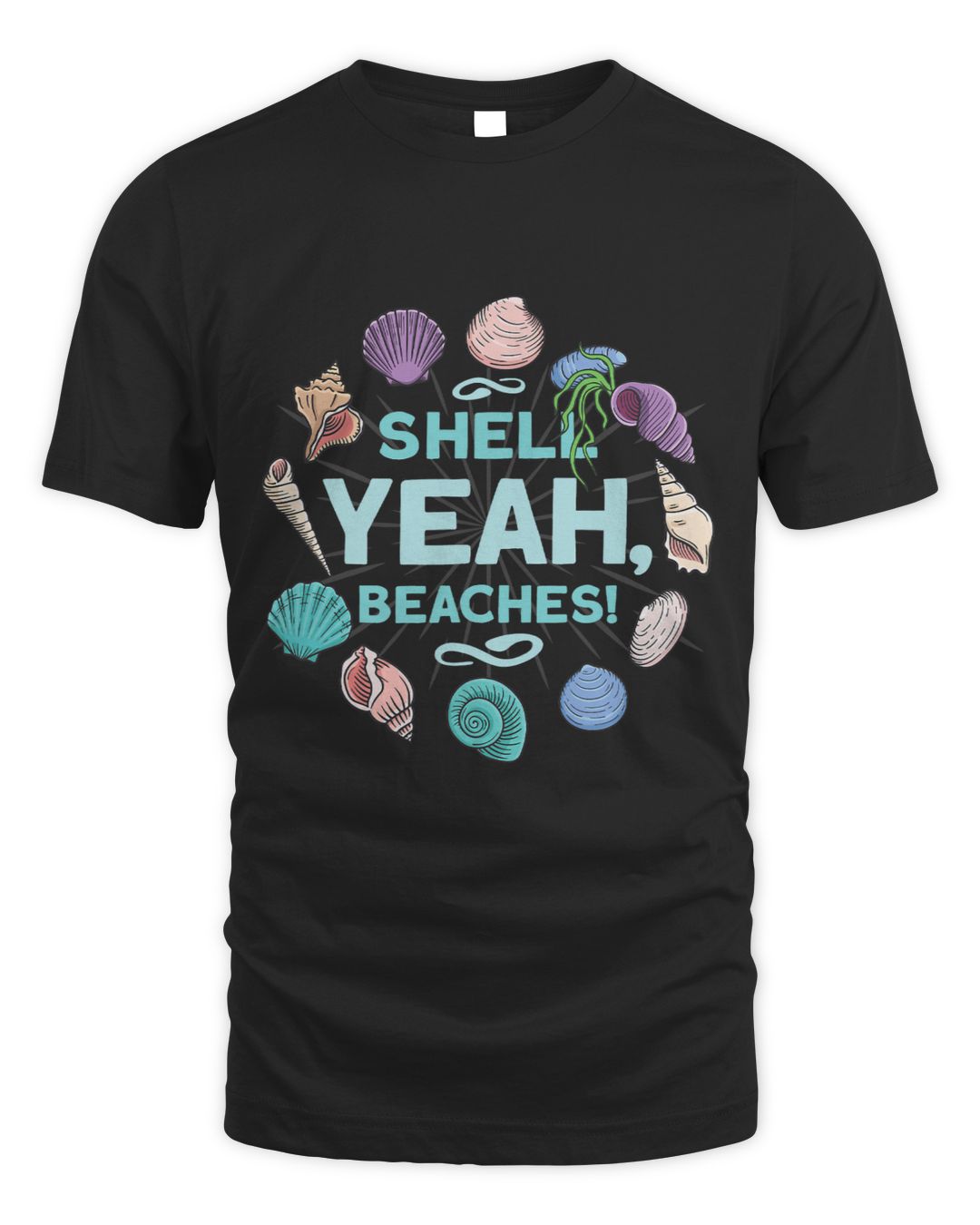Shell Yeah Beaches Shells for Shell Collectors