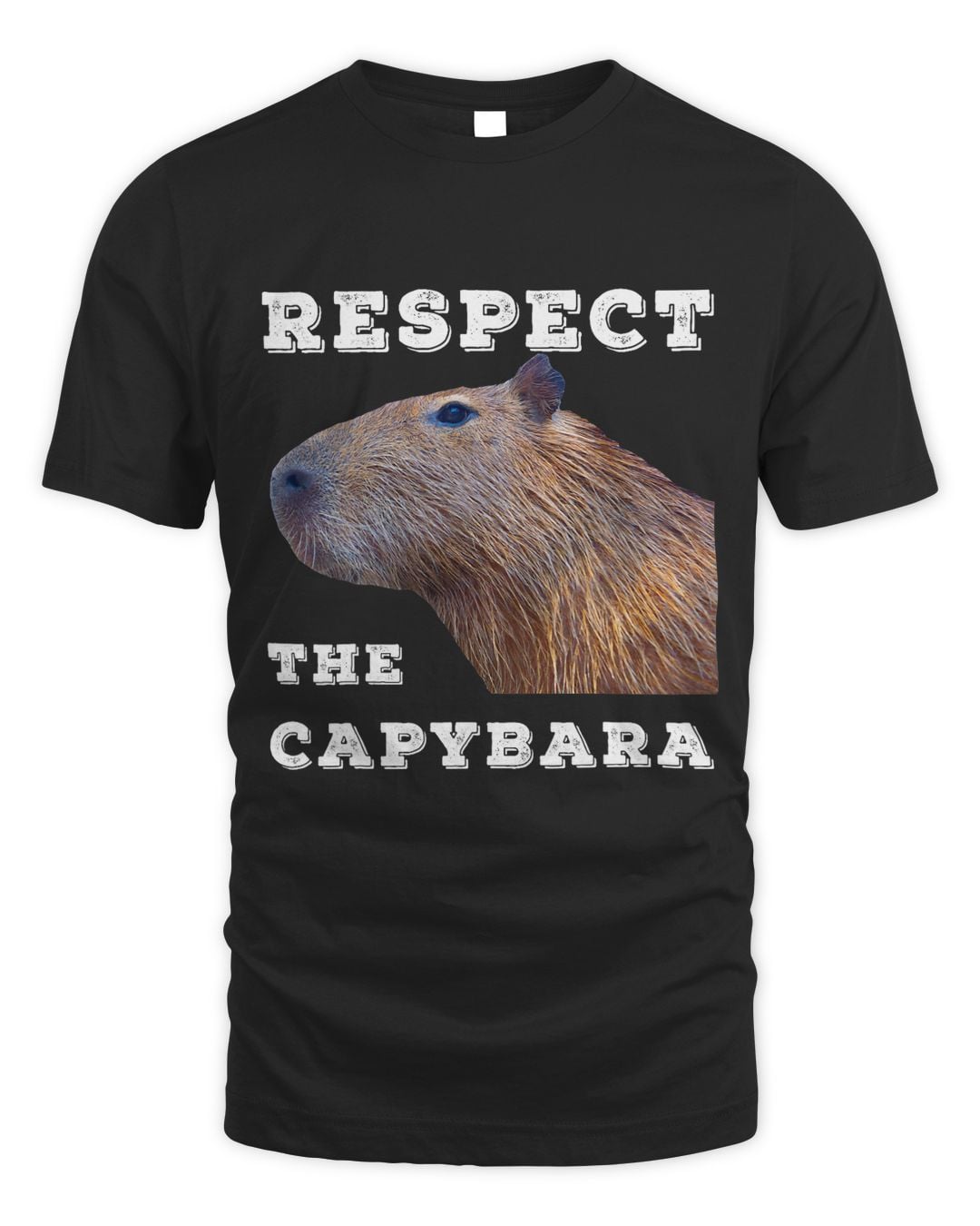 Respect The Capybara Funny Capybara Quotes for Rodent lovers