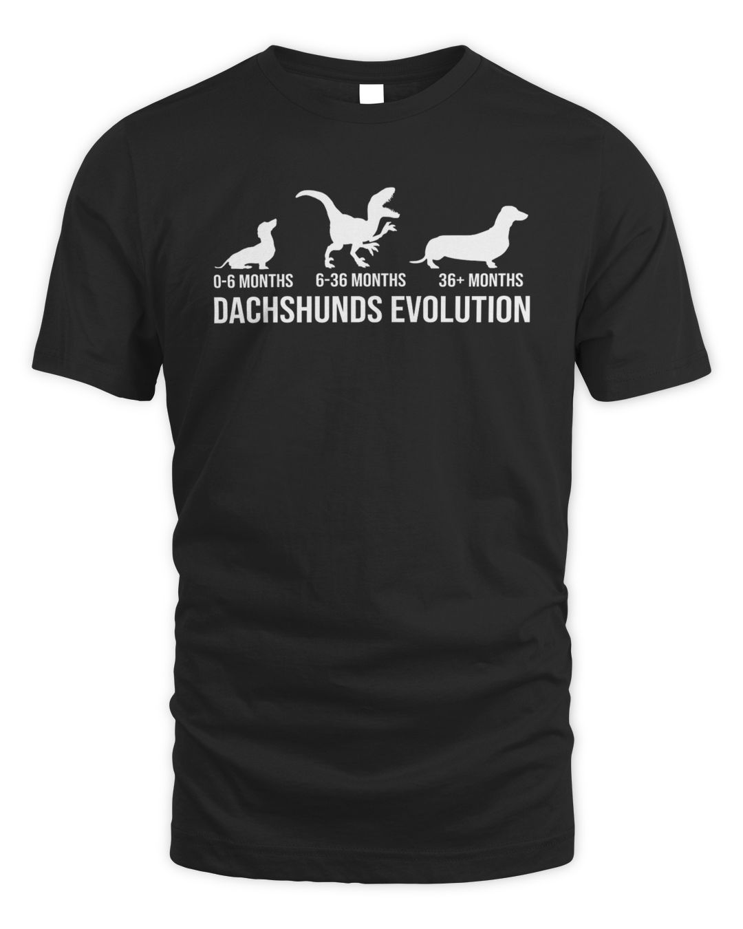 Dachshund Evolution | Aholala