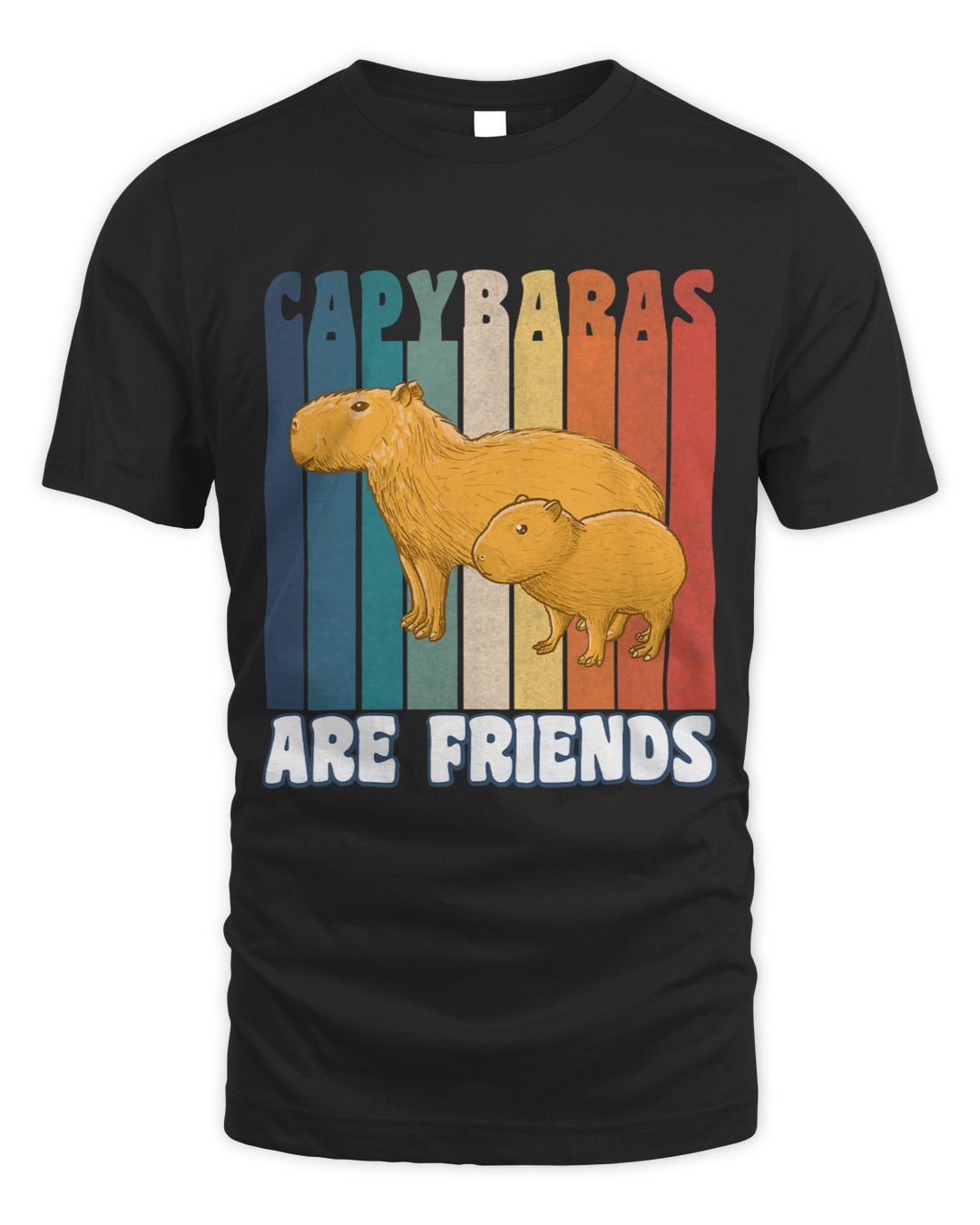 Capybara Lover Capybaras are Friends Retro