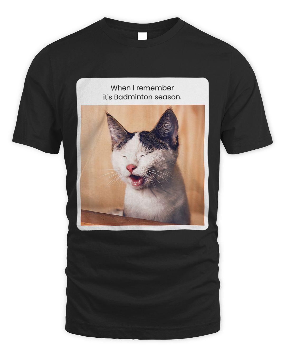Funny Cat Meme When I Remember Badminton Season | gokata