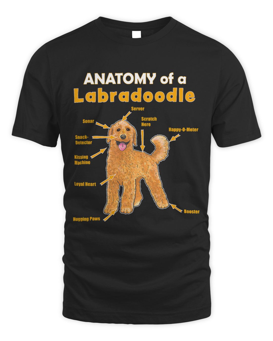 Funny anatomy of a labradoodle for him and her