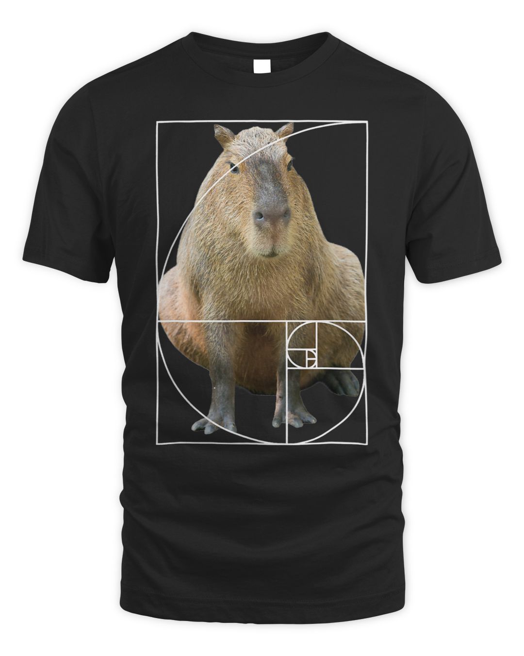 Golden Ratio Capybara Fibonacci Spiral Funny Math Unisex Standard T-Shirt