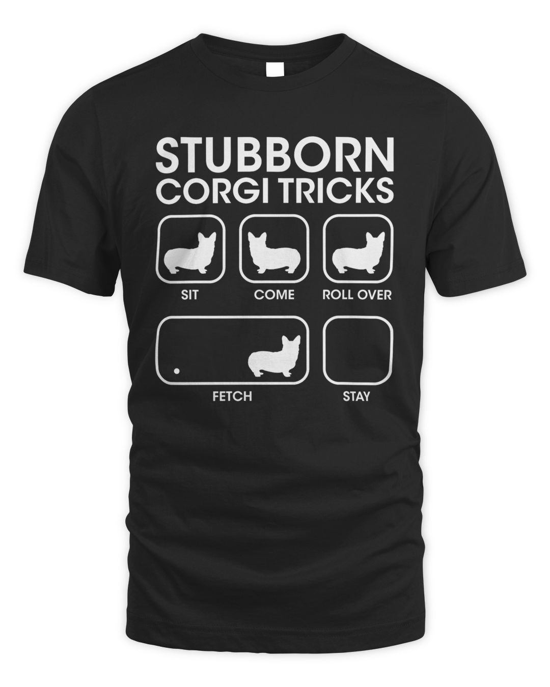 Stubborn Corgi Tricks