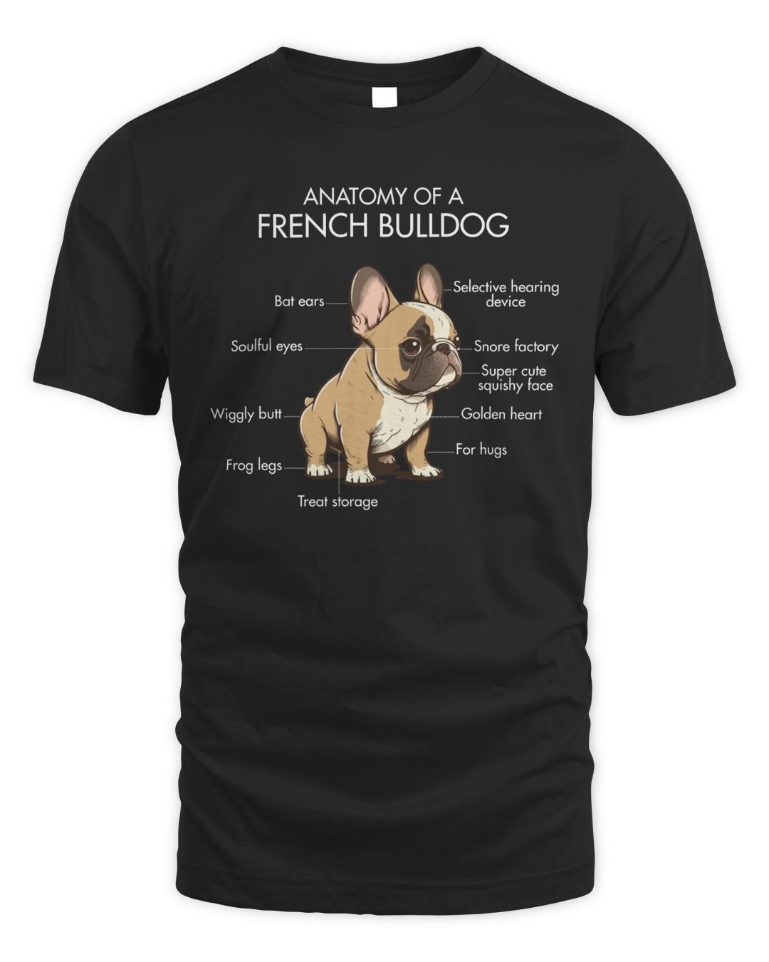 Anatomy Of A French Bulldog