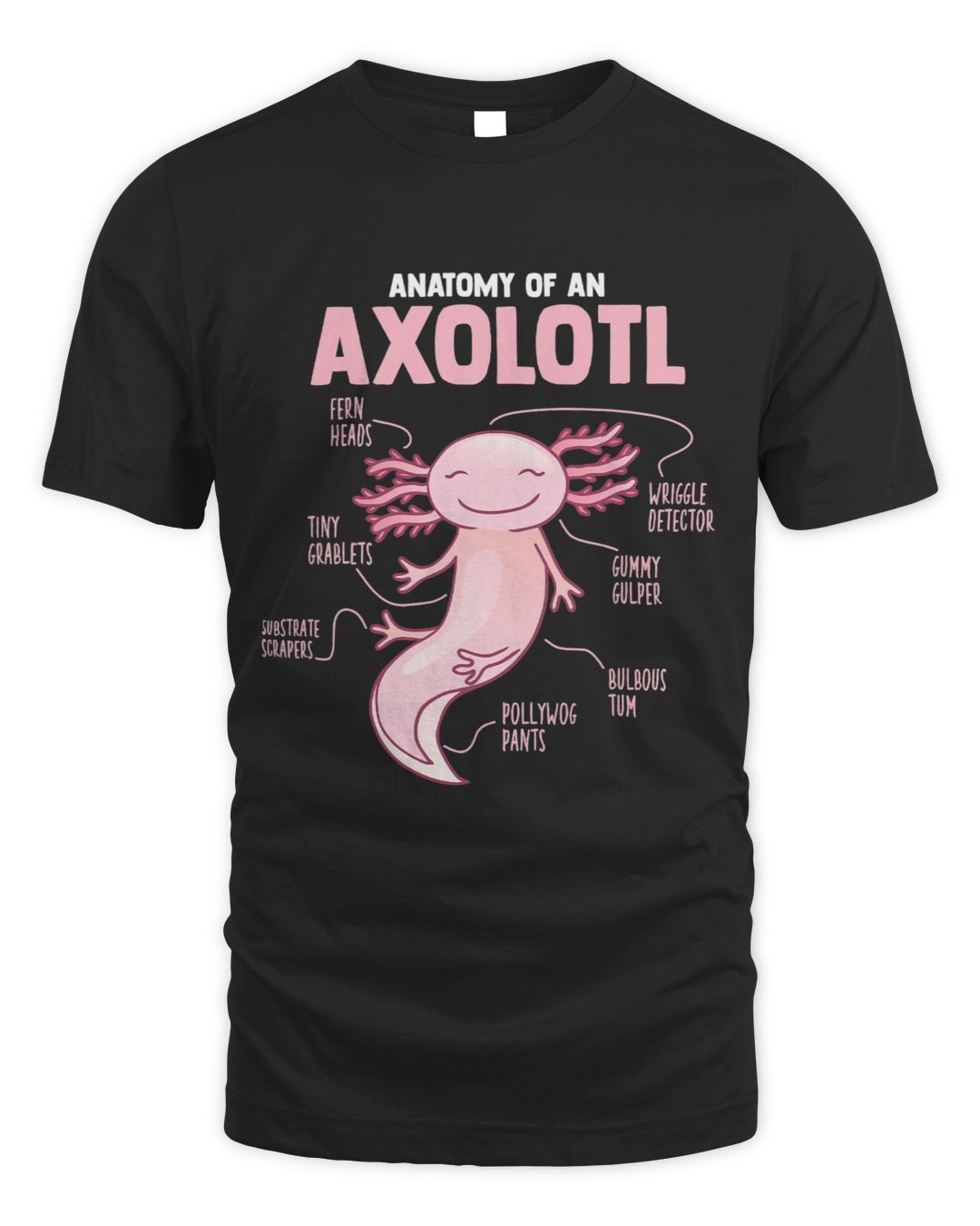 Axolotl Animals Anatomy Of An Axolotl Structure of Mexican Walking ...