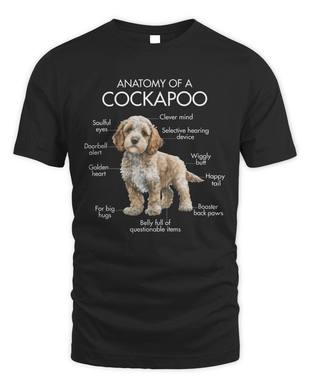 Anatomy Of A Cockapoo | Aholala