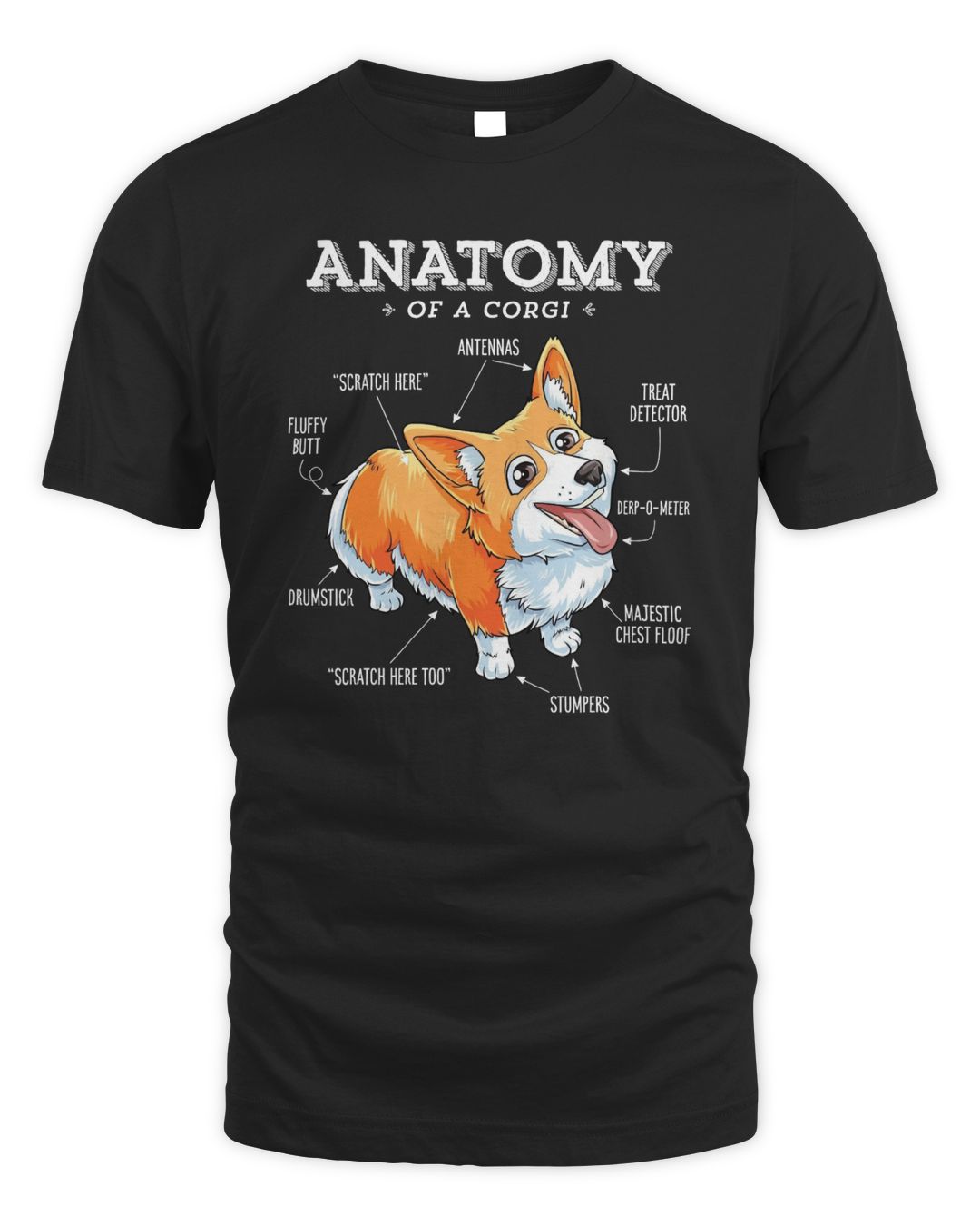Anatomy of a Corgi | Aholala