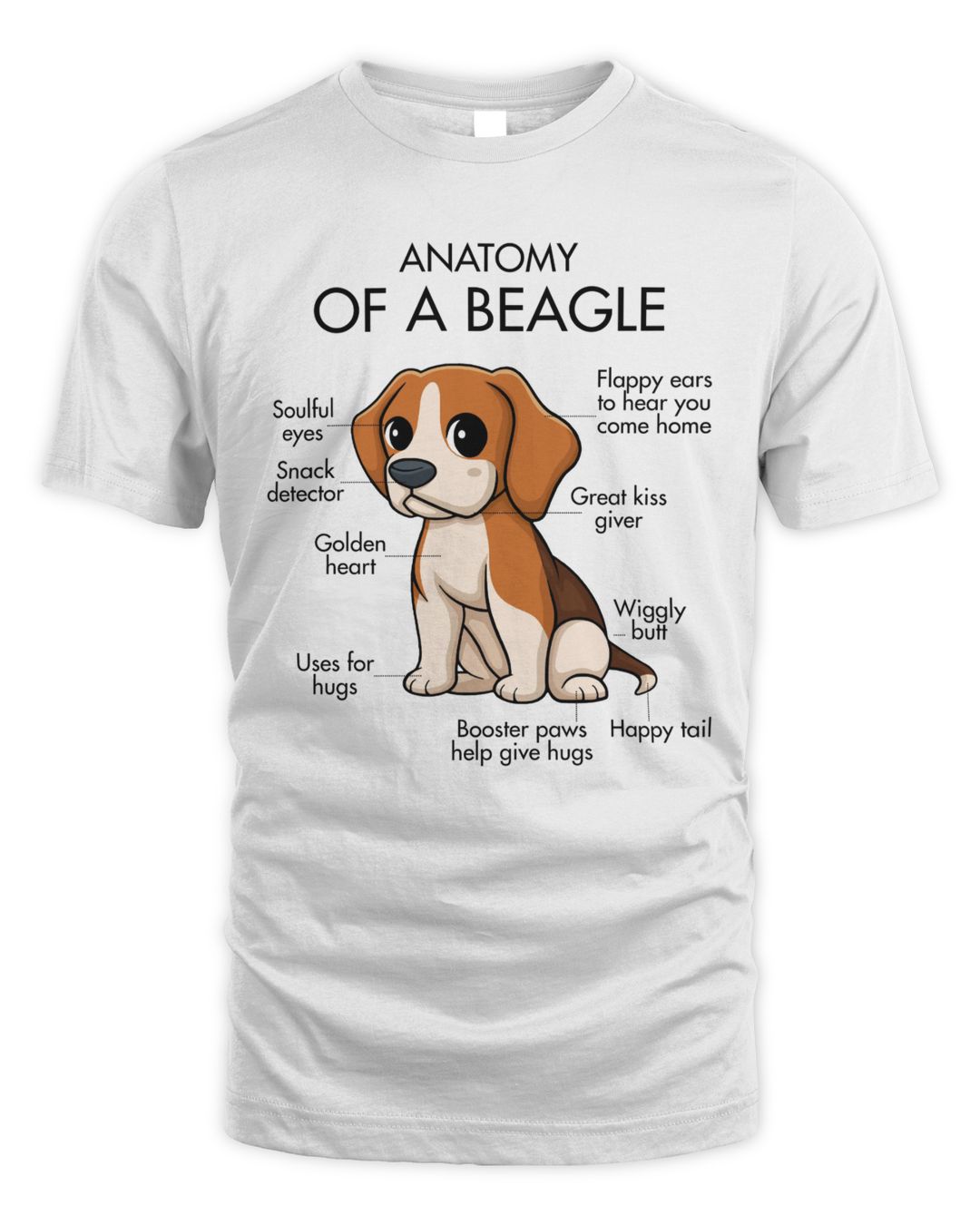 Anatomy Of A Beagle