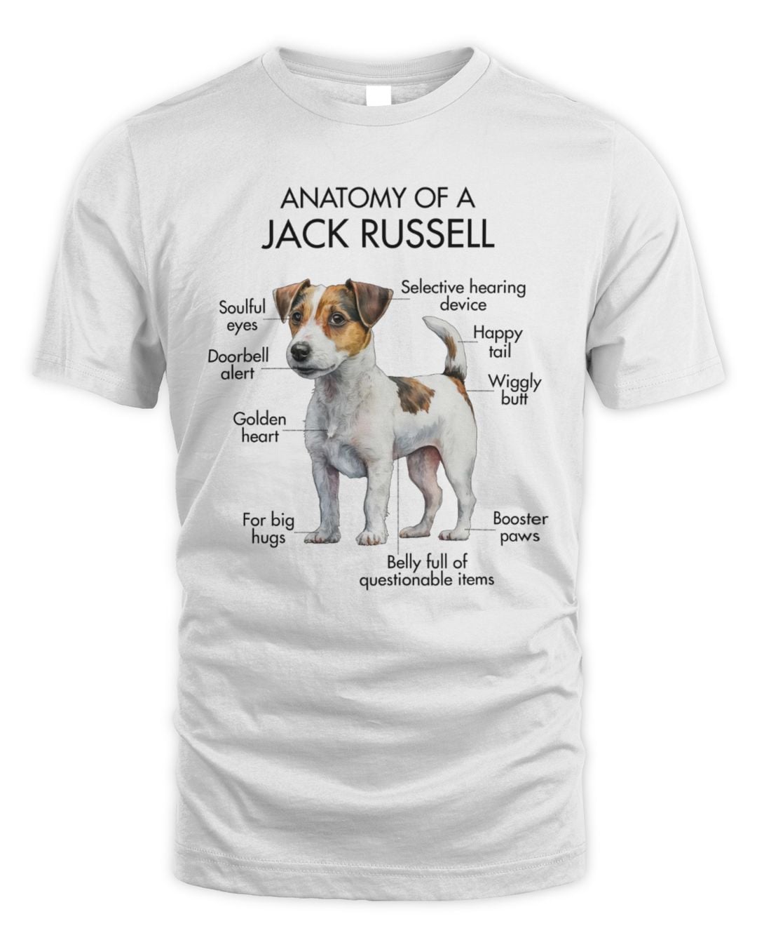 Anatomy Of A Jack Russell