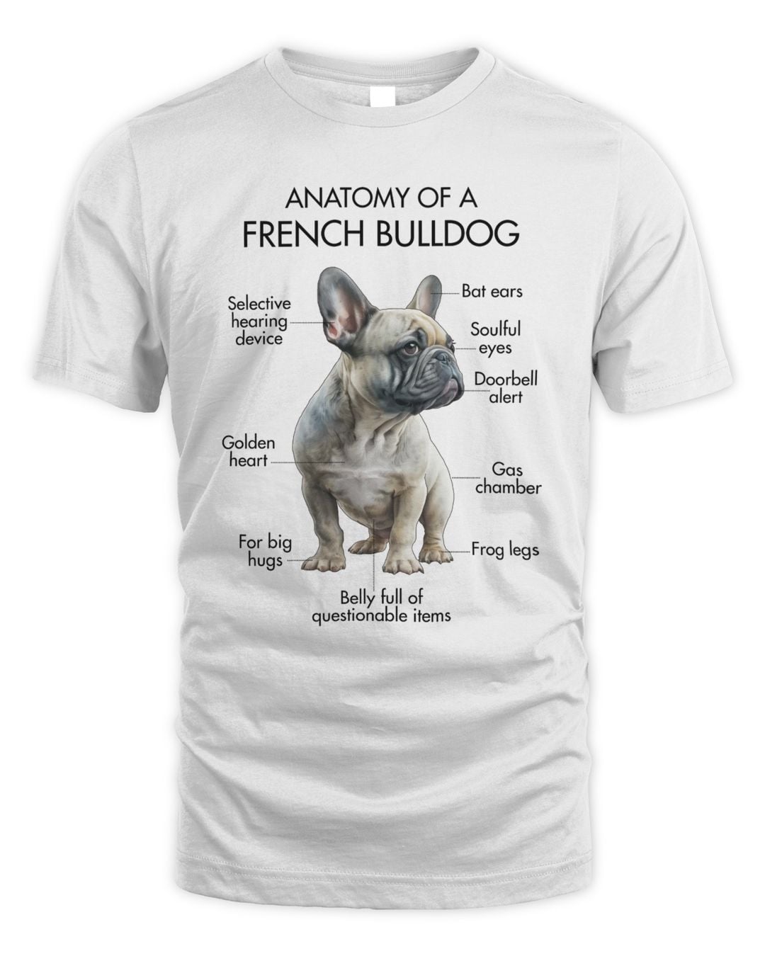Anatomy Of A French Bulldog