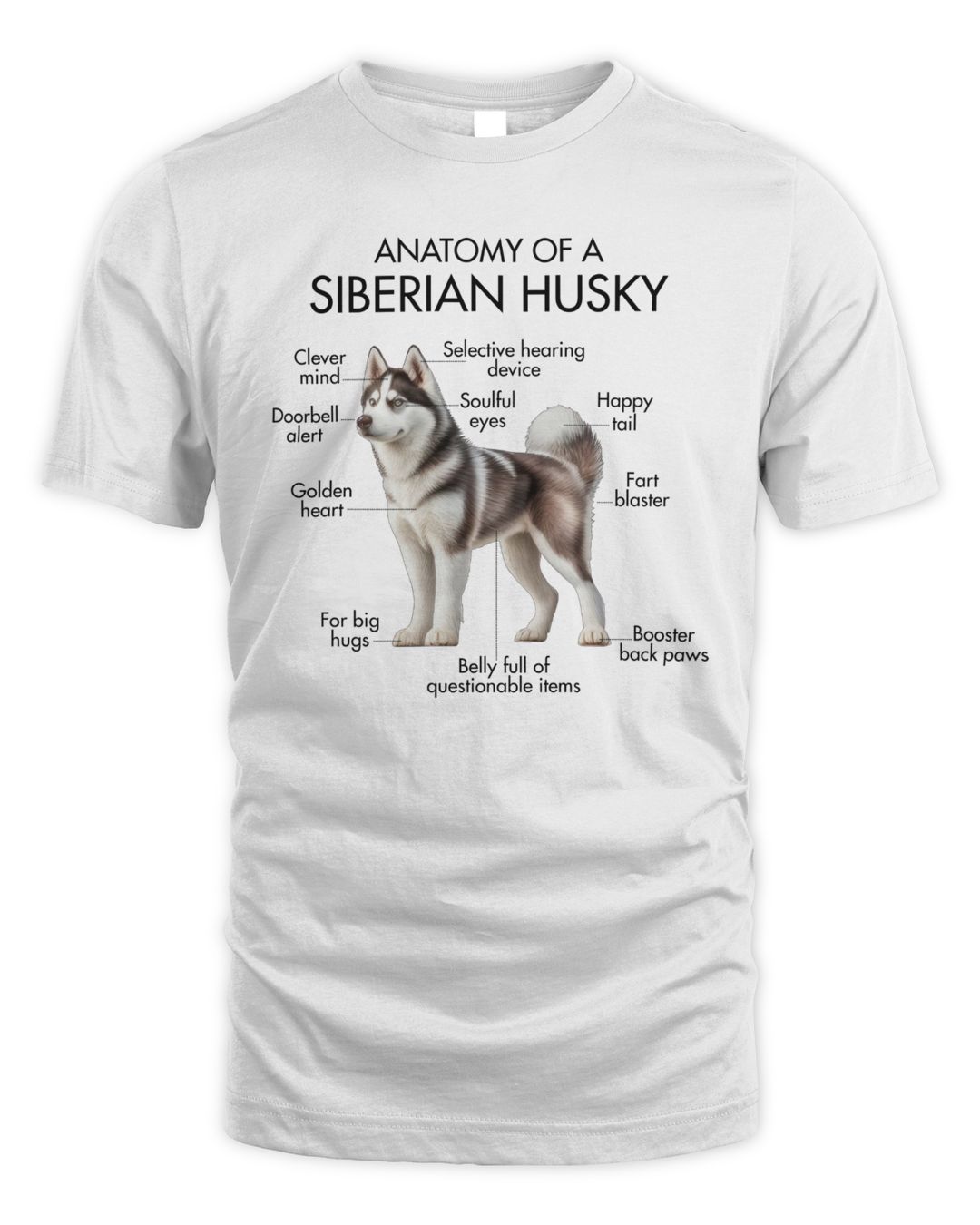Anatomy Of A Siberian Husky