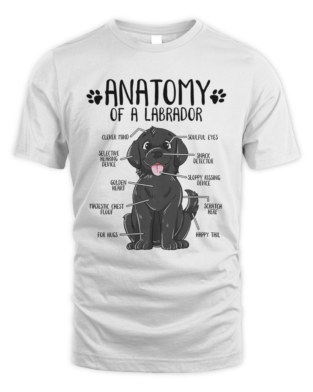 Anatomy Of A Labrador | Aholala