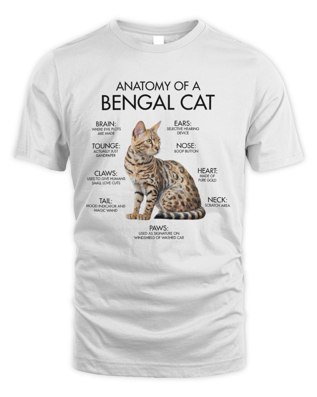 Anatomy Of A Bengal Cat