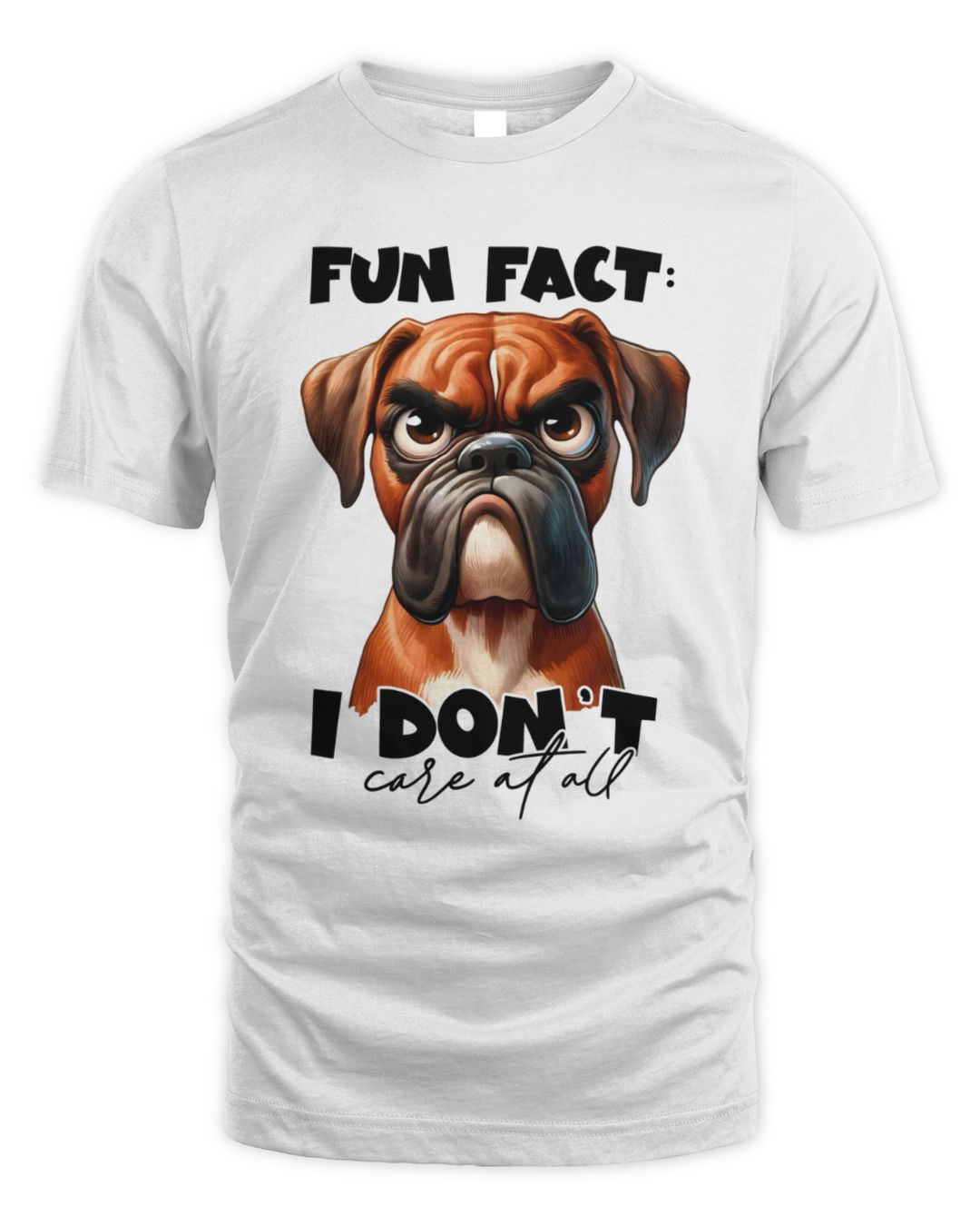 Fun Fact Boxer