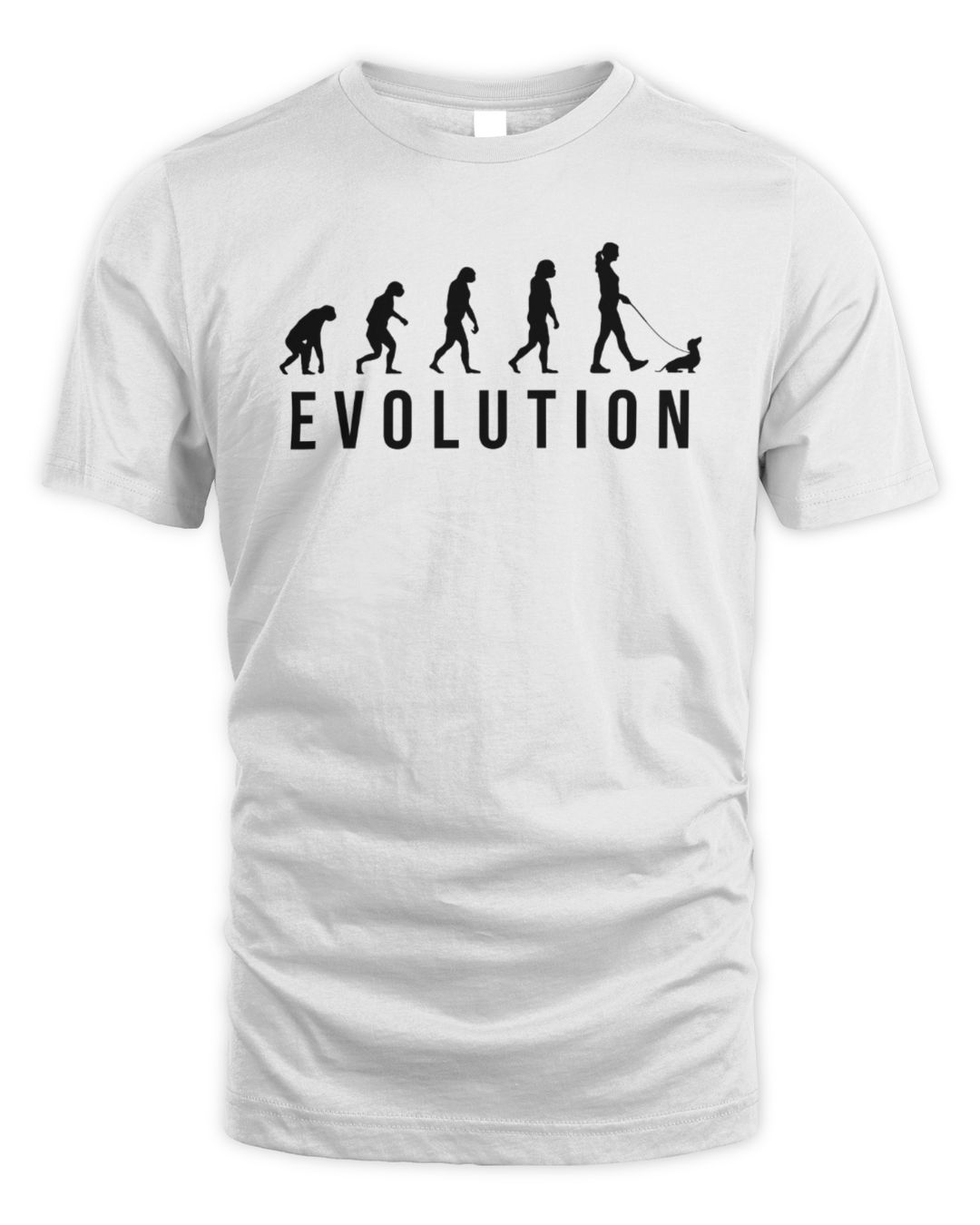 Evolution Dachshund | Aholala