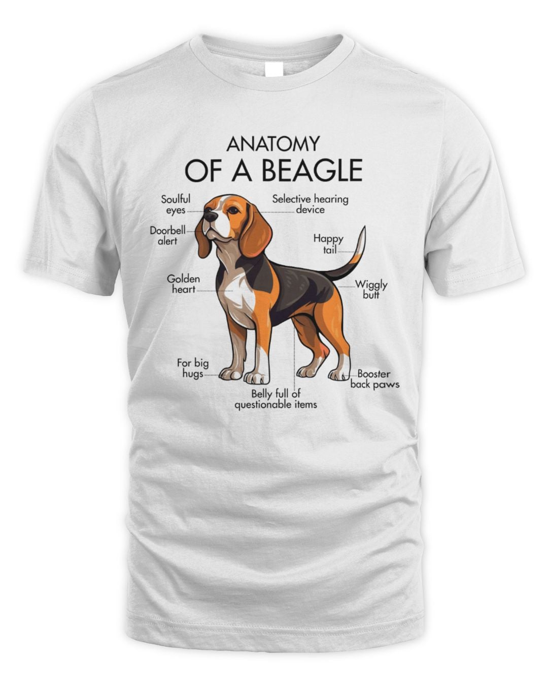 Anatomy Of A Beagle