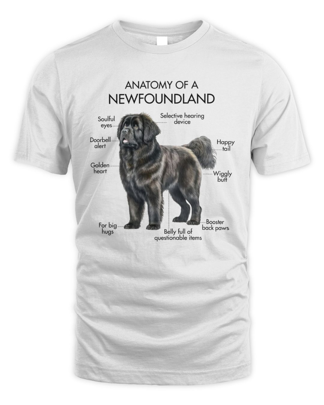 Anatomy Of A Newfoundland | Aholala
