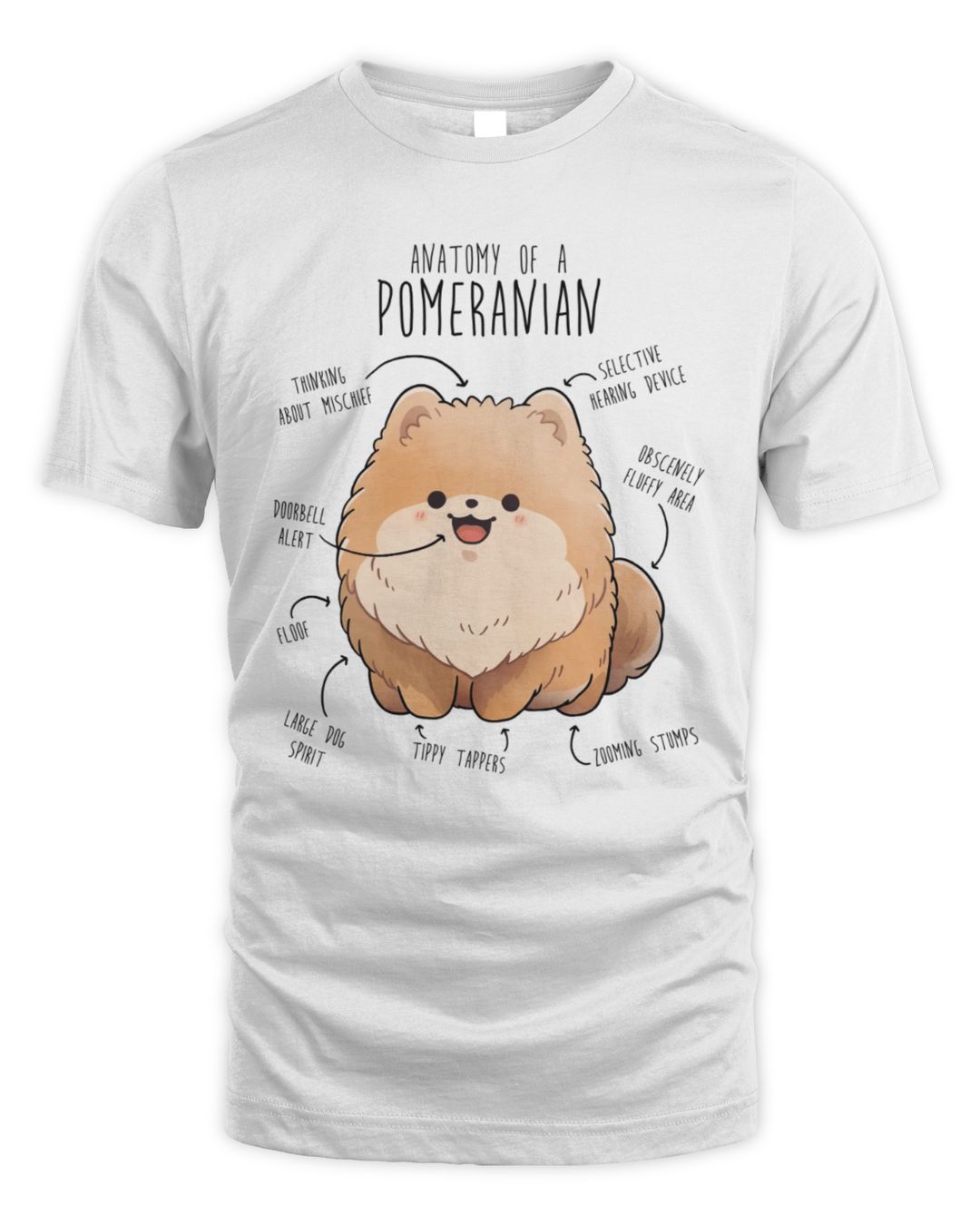 Anatomy Of A Pomeranian