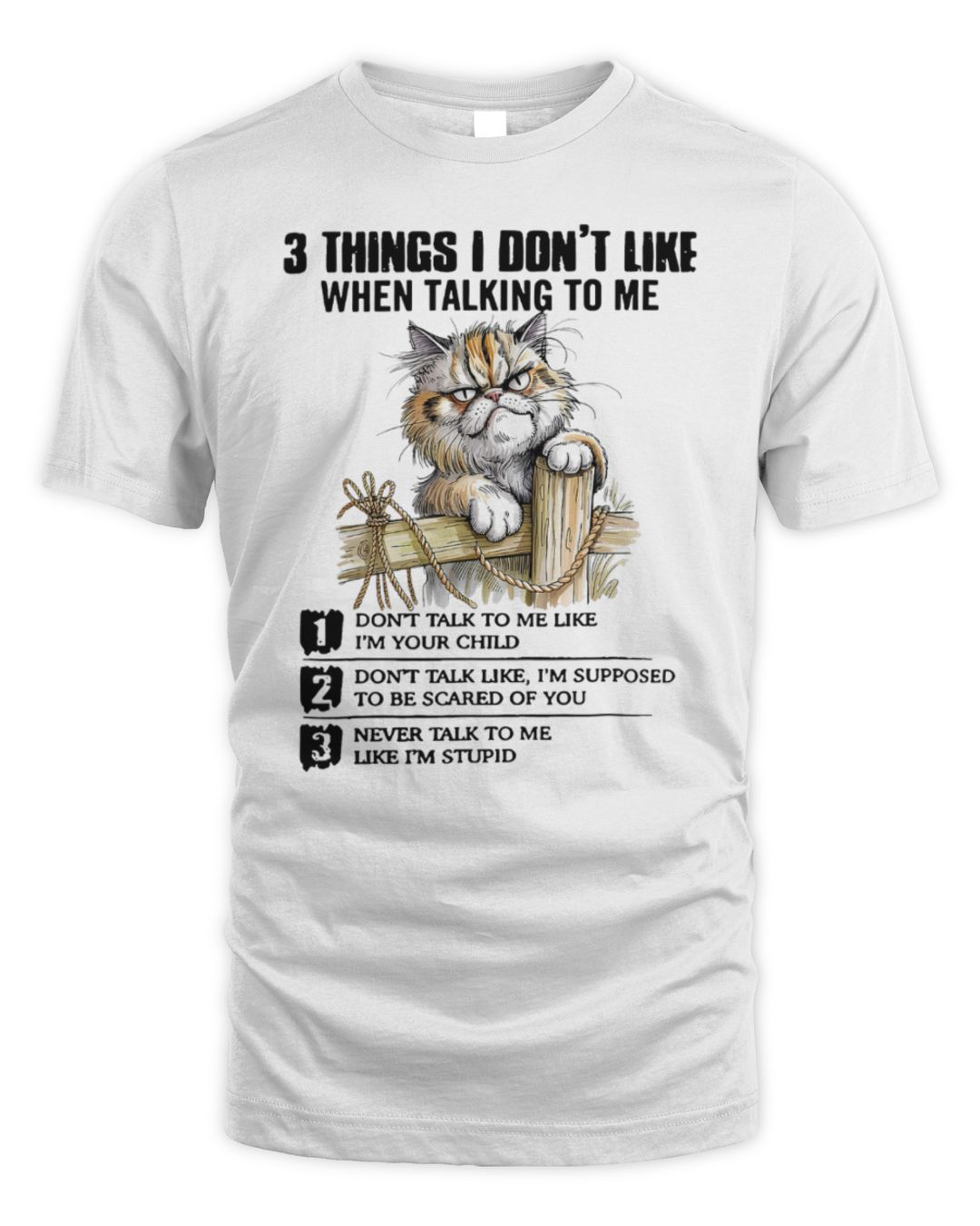 Cat 3 Things I Don’t Like