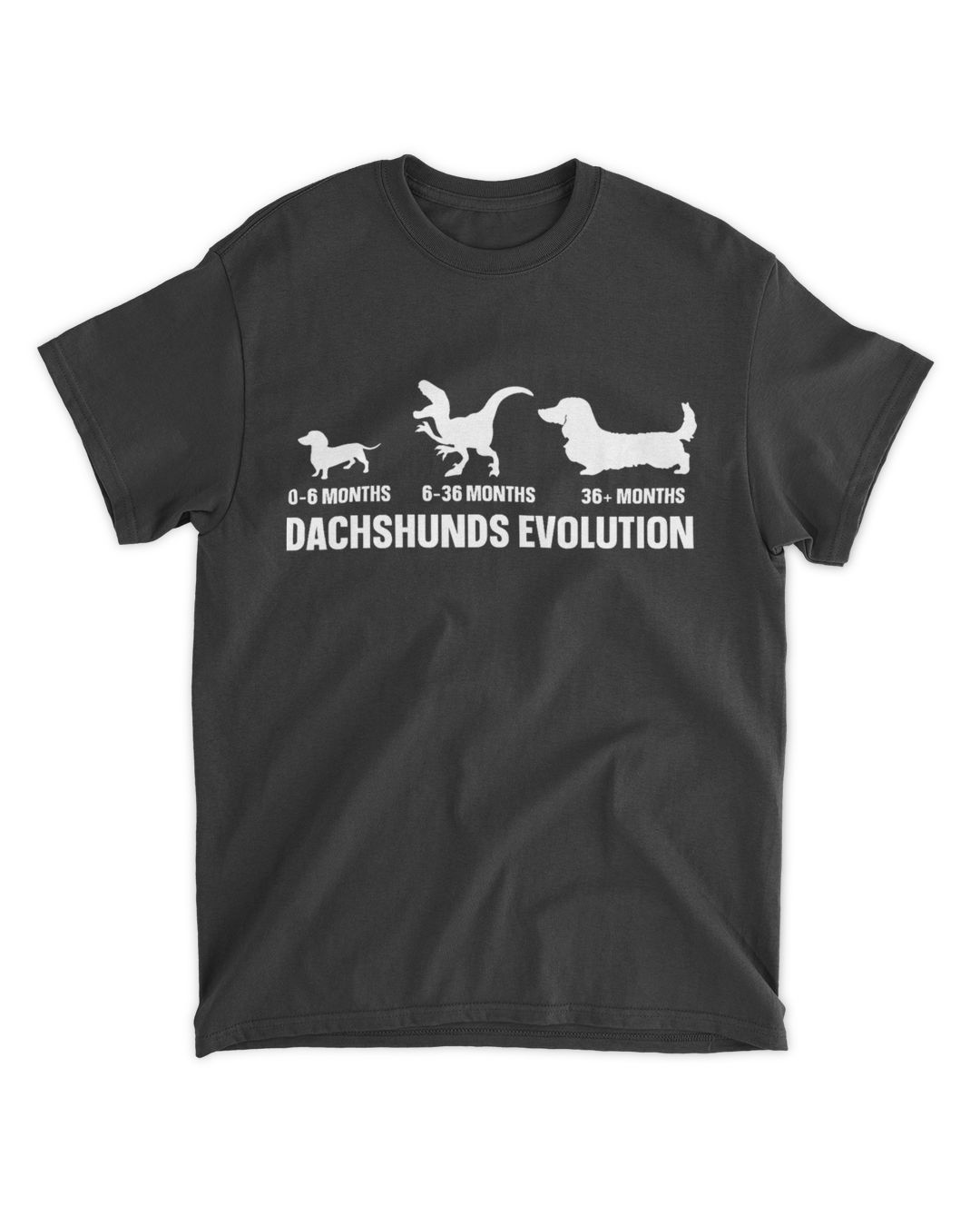 Dachshunds Evolution Design for a Dachshund Owner T-Shirt