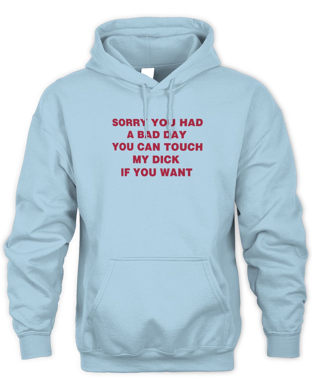 Sorry You Had A Bad Day You Can Touch My Dick If You Want Hoodie